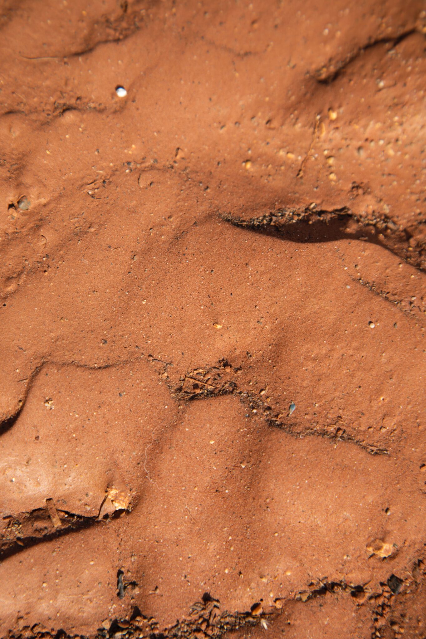 Sedimenttömning och avvattning – effektivt koncept från Tecomatic