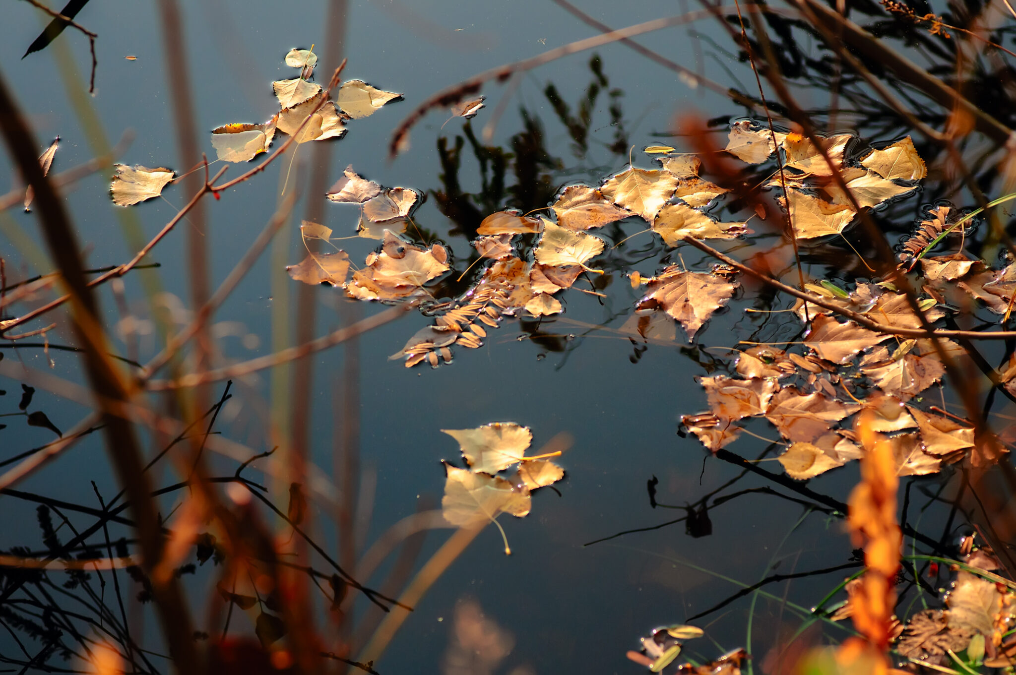 Tecomatic provides maintenance services for stormwater ponds across the ...